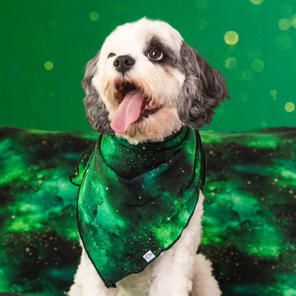 Bamboo Pet Bandana, Dogs & Cats | Green Galaxy Elixir – Little Popp Crew
